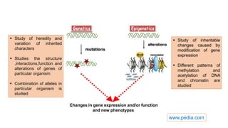 Plant Epigenetics in crop Improvement | PPTX