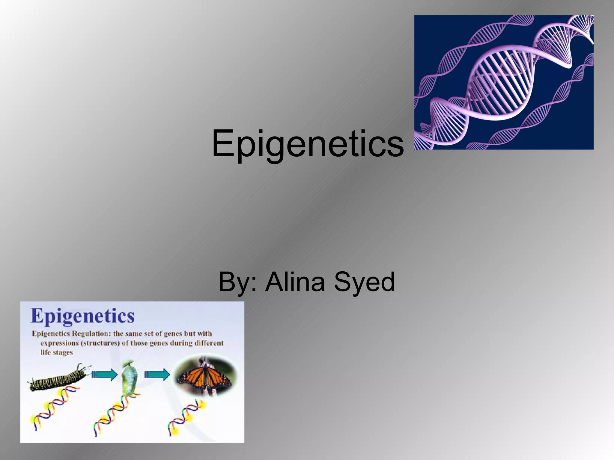 Epigenetics bio proj | PPT
