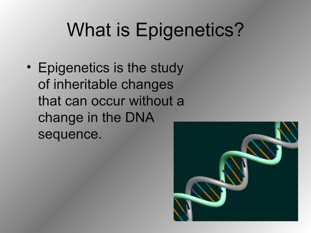 Epigenetics bio proj | PPT | Genetics | Science