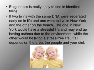 Epigenetics bio proj | PPT