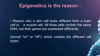 Epigenetics by Dr.Chandan, how epigenetic changes influence embryos | PPTX