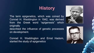 Epigenetics by Dr.Chandan, how epigenetic changes influence embryos | PPTX