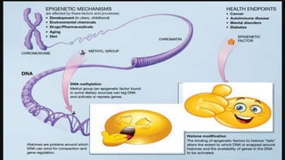 Epigenetics by Dr.Chandan, how epigenetic changes influence embryos | PPTX