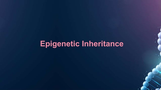 Epigenetics by Dr.Chandan, how epigenetic changes influence embryos | PPT