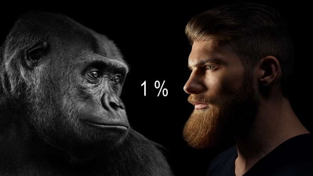 Epigenetics by Dr.Chandan, how epigenetic changes influence embryos | PPT