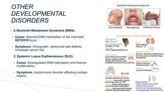 Epigenetics and its effects in pregnancy by Dr. Mohamed Salem | PPTX