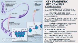 Epigenetics and its effects in pregnancy by Dr. Mohamed Salem | PPTX