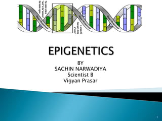 Epigenetics by sachin | PPTX | Genetics | Science