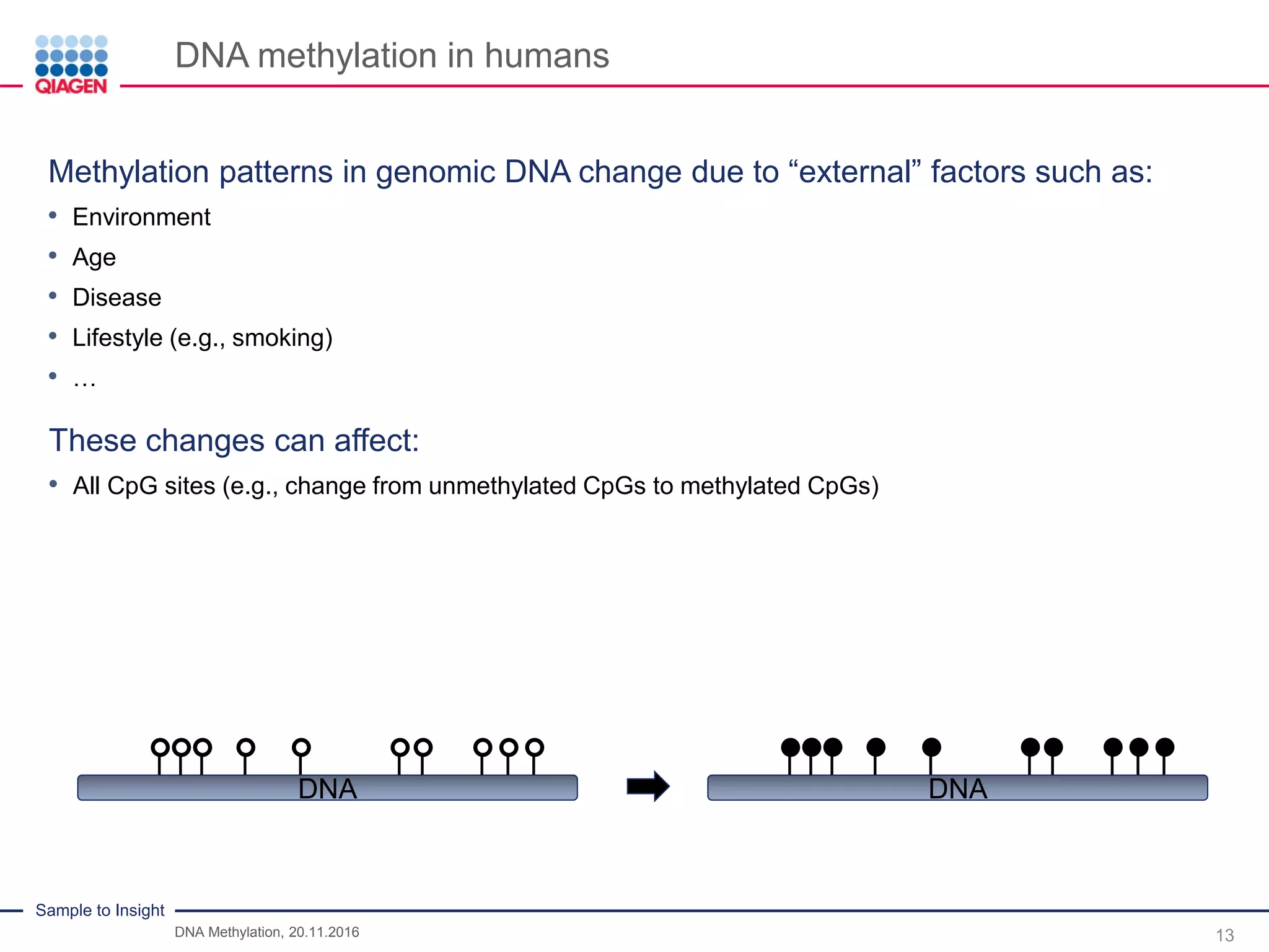 DNA Methylation: An Essential Element in Epigenetics Facts and ...