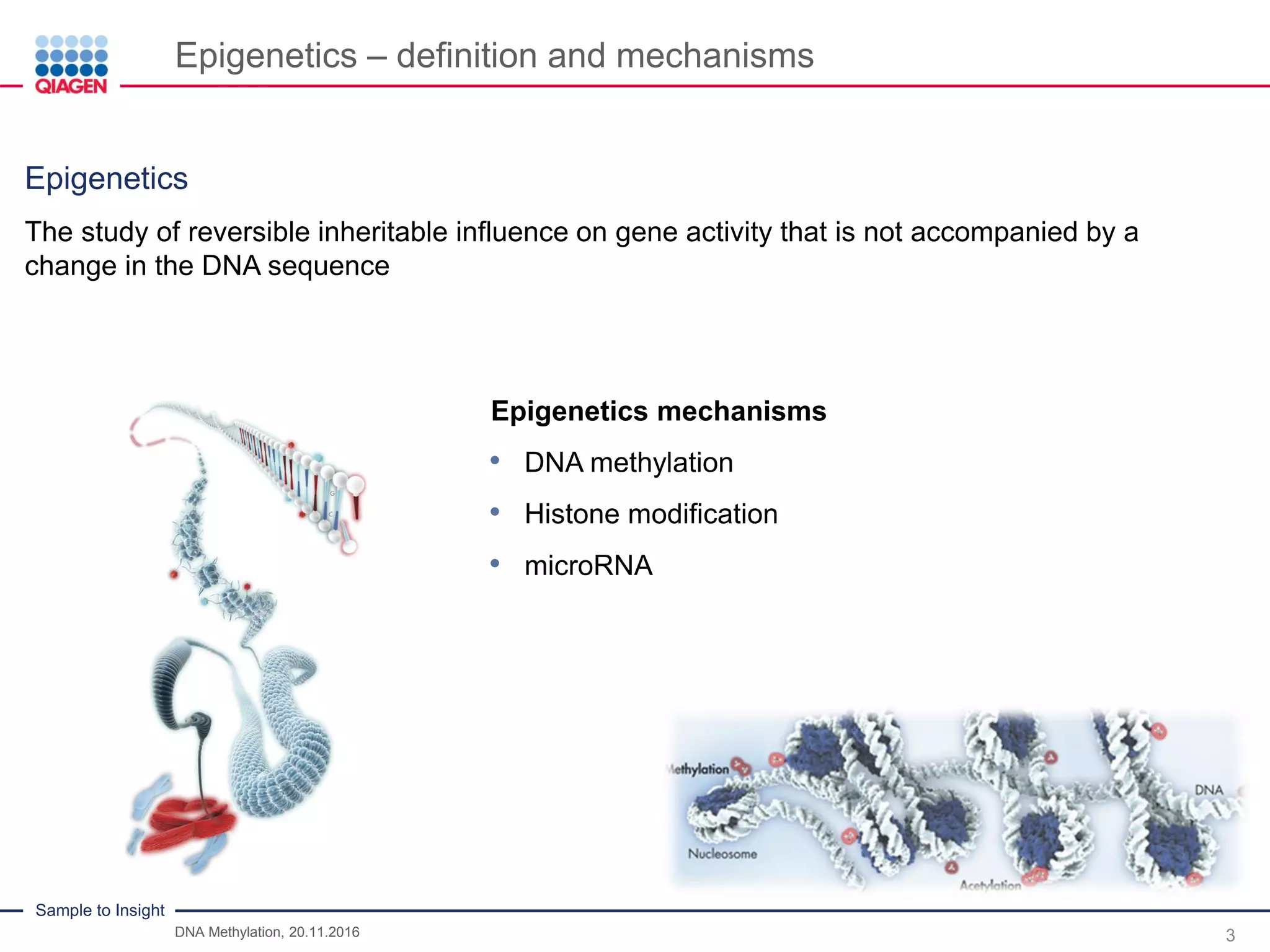 DNA Methylation: An Essential Element in Epigenetics Facts and ...