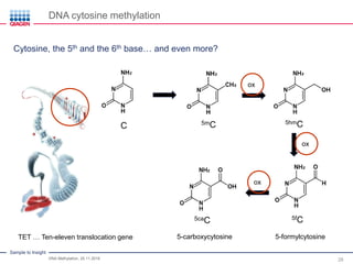 Cytosine Methylation