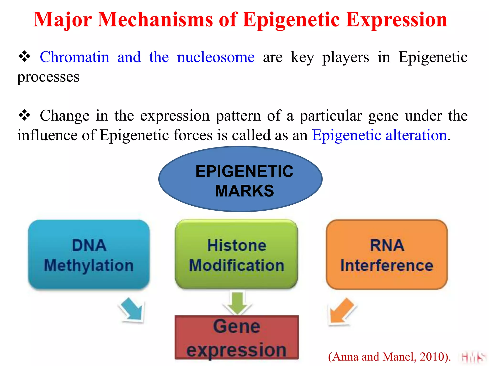 Epigenetics importance in livestock breeding and production | PPSX | Genetics | Science