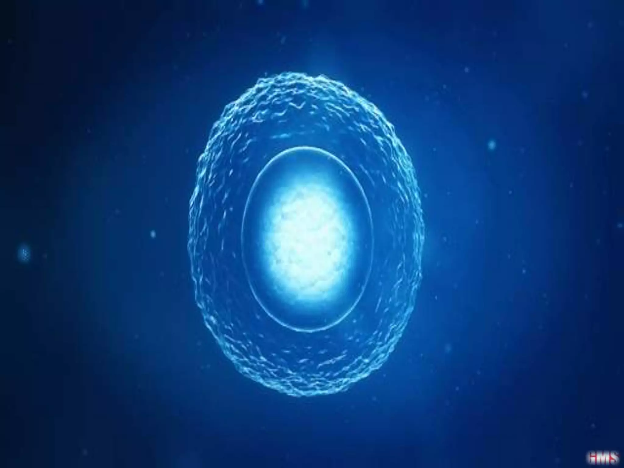 Epigenetics importance in livestock breeding and production | PPSX ...