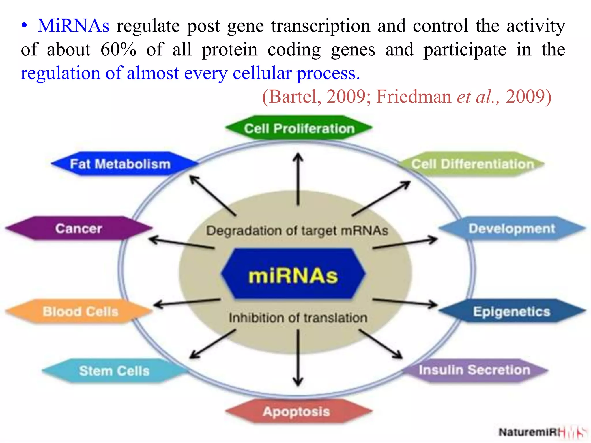 Epigenetics importance in livestock breeding and production | PPSX