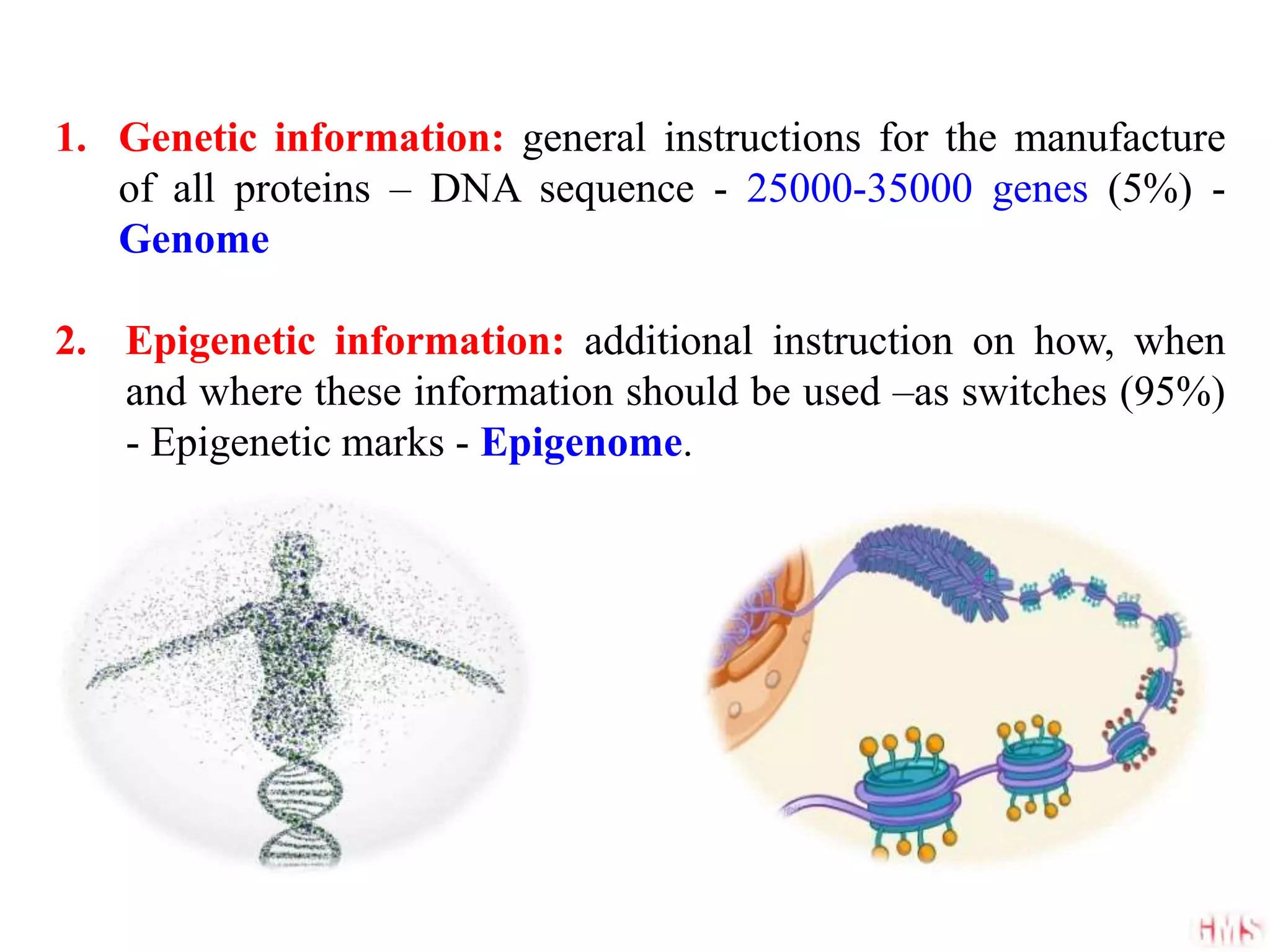 Epigenetics importance in livestock breeding and production | PPSX ...