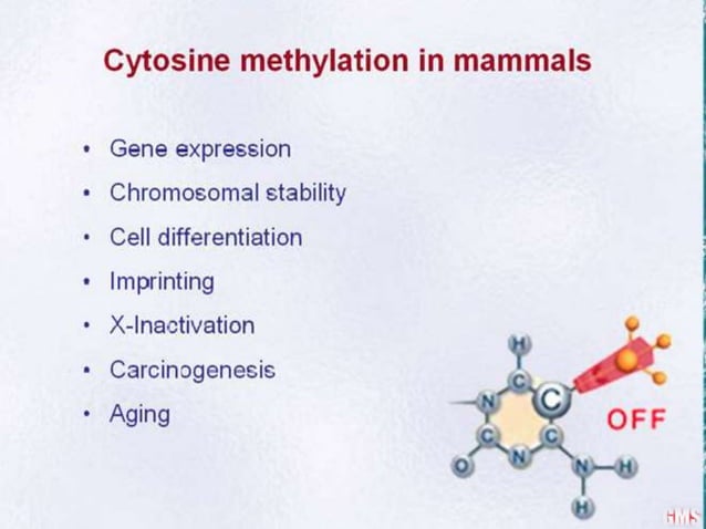 Epigenetics importance in livestock breeding and production | PPSX
