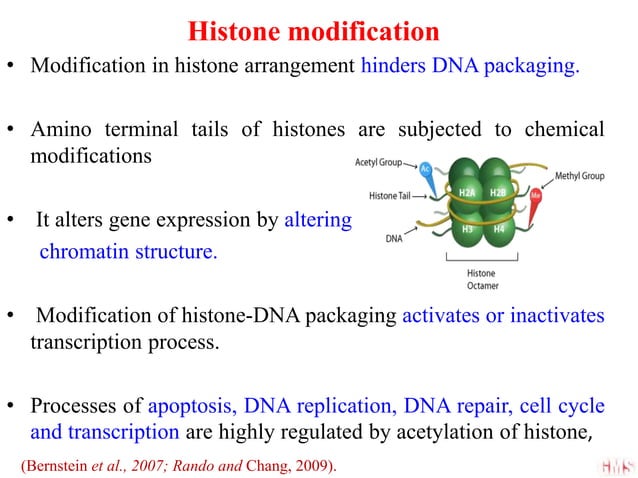 Epigenetics importance in livestock breeding and production | PPSX