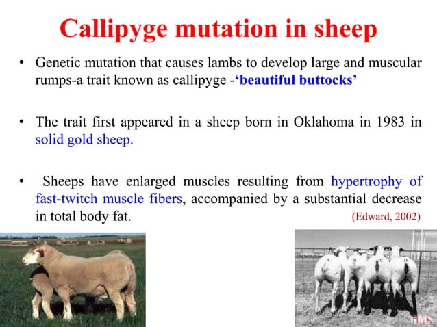 Epigenetics importance in livestock breeding and production | PPSX