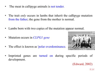 Epigenetics importance in livestock breeding and production | PPSX ...