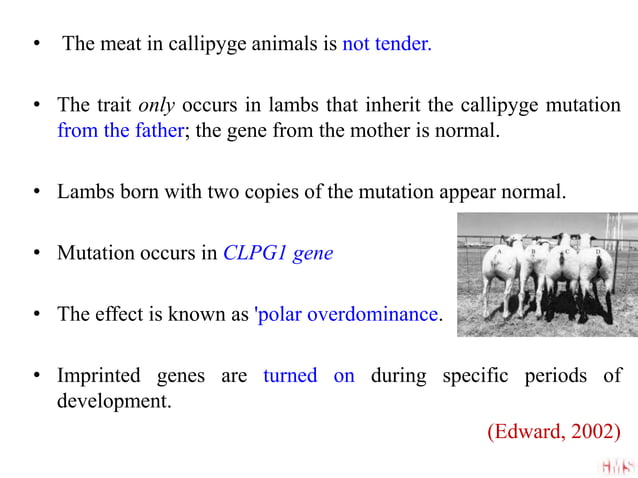 Epigenetics importance in livestock breeding and production | PPSX