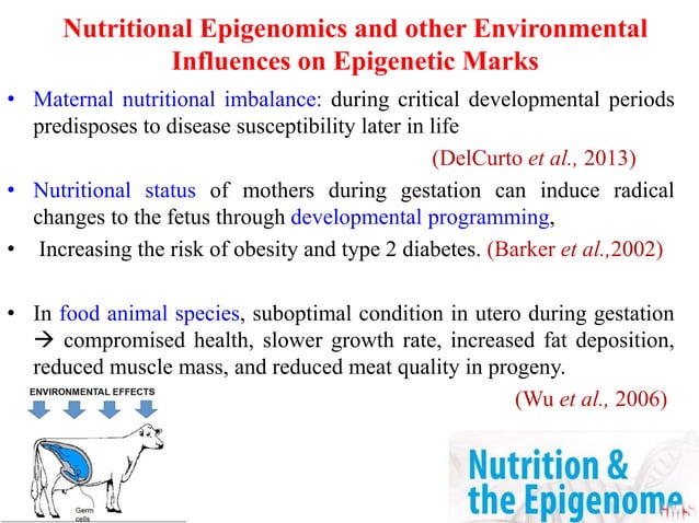Epigenetics importance in livestock breeding and production | PPSX