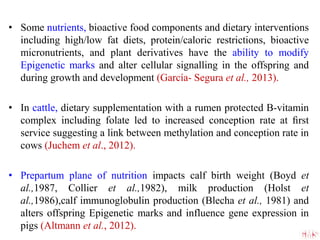 Epigenetics importance in livestock breeding and production | PPSX