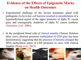 Epigenetics importance in livestock breeding and production | PPSX