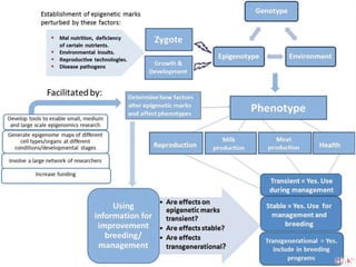 Epigenetics importance in livestock breeding and production | PPSX