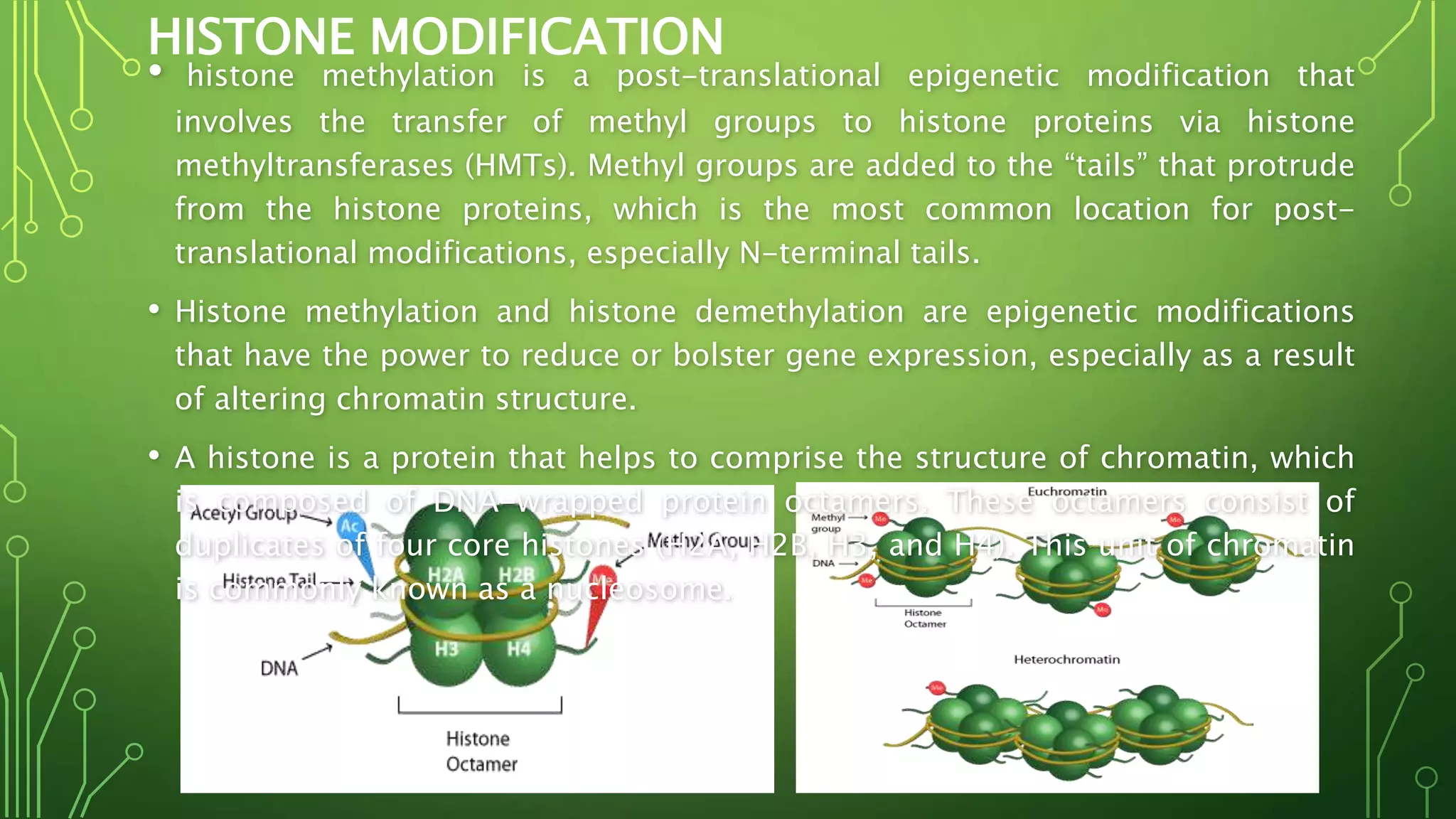 Epigenetics in fisheries and aquaculture | PPTX
