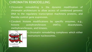 Epigenetics in fisheries and aquaculture | PPTX