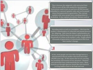 Epigenetics inheritance what does it all mean | PPT