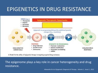 Epigenetics in human diseases | PPTX