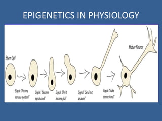 Epigenetics in human diseases | PPTX