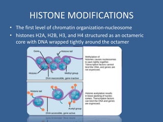 Epigenetics in human diseases | PPTX