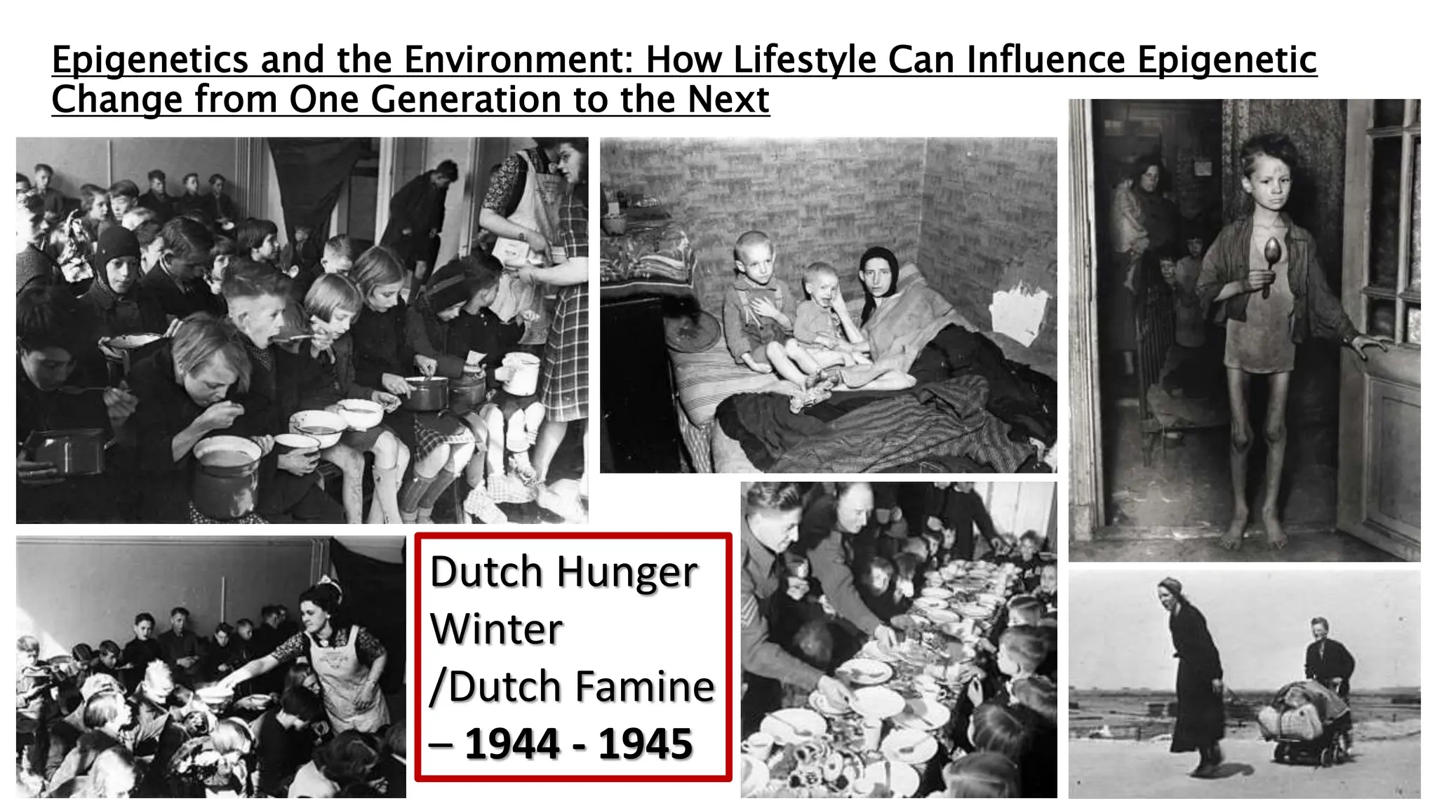 Epigenetics In Oral Health & it's role in Oral Cancer - pptx. | PPTX