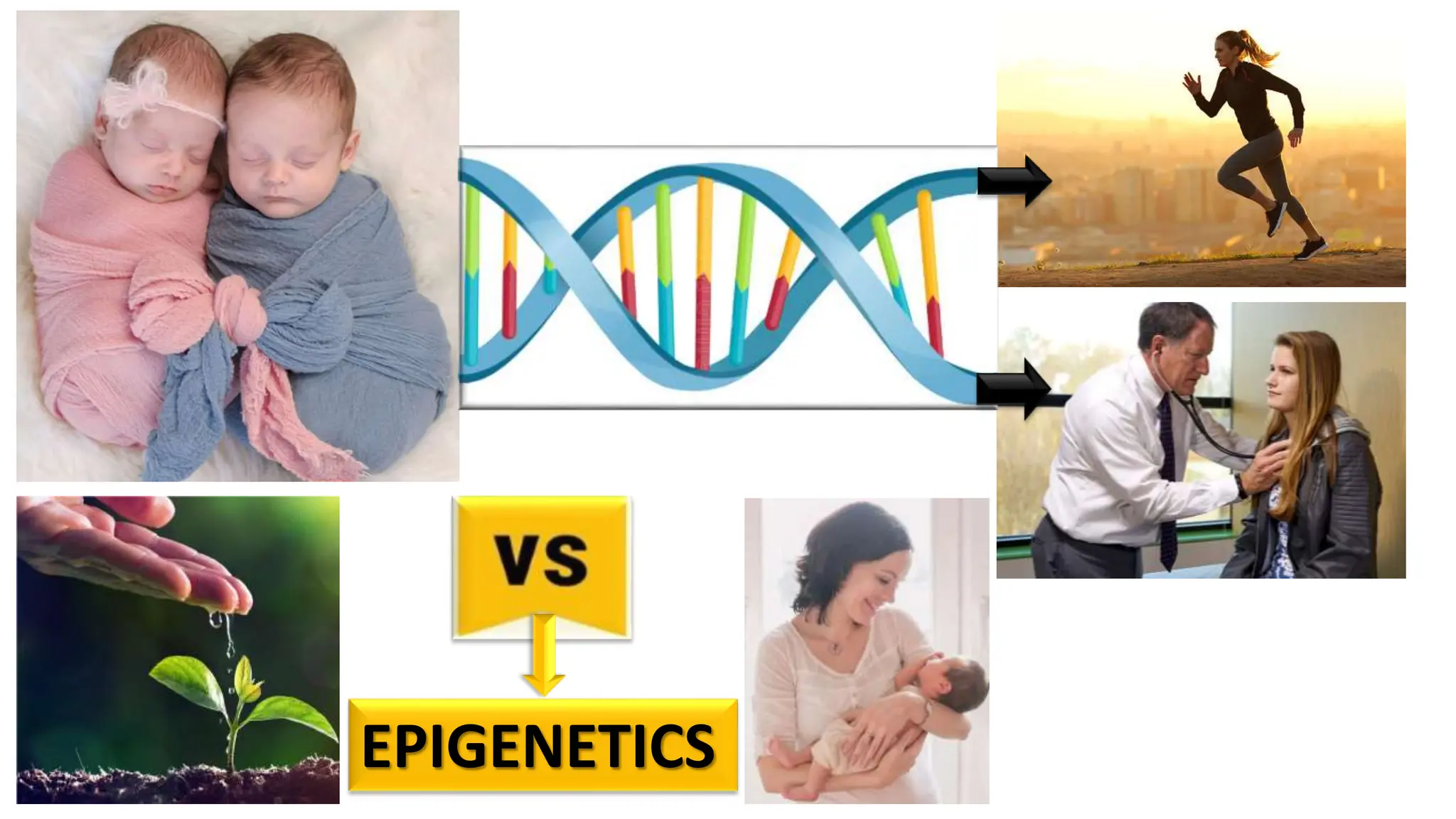 Epigenetics In Oral Health & it's role in Oral Cancer - pptx. | PPTX