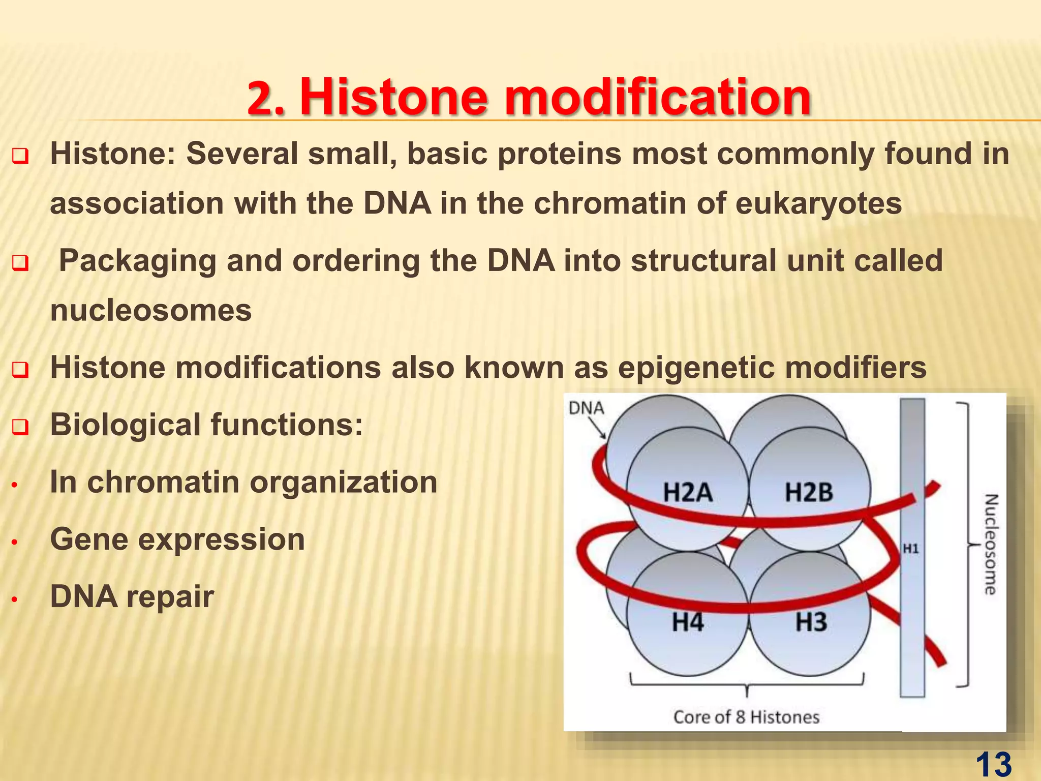 Epigenetics mediated gene regulation in plants | PPTX