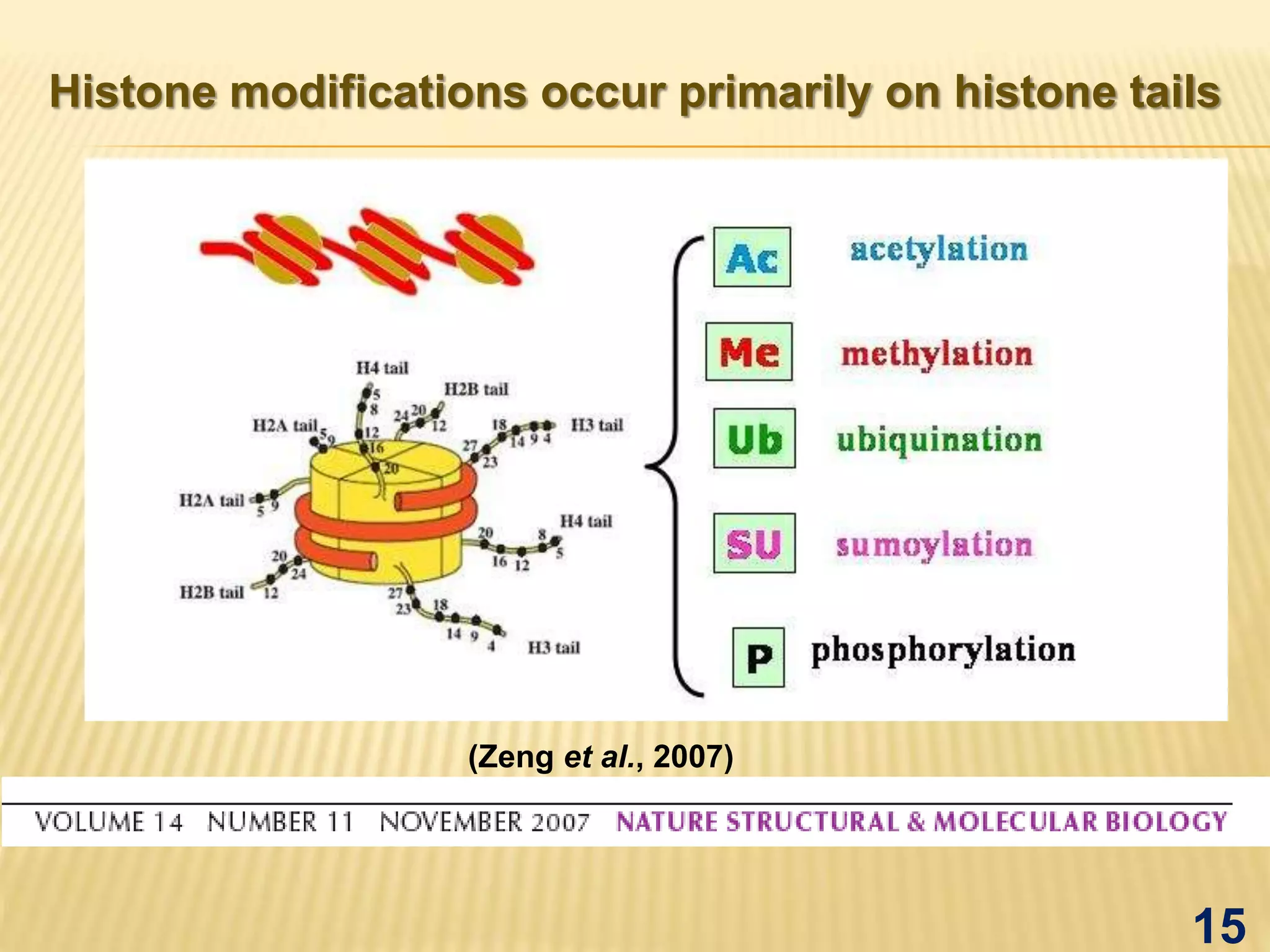 Epigenetics mediated gene regulation in plants | PPTX