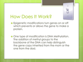 Epigenetics | PPTX