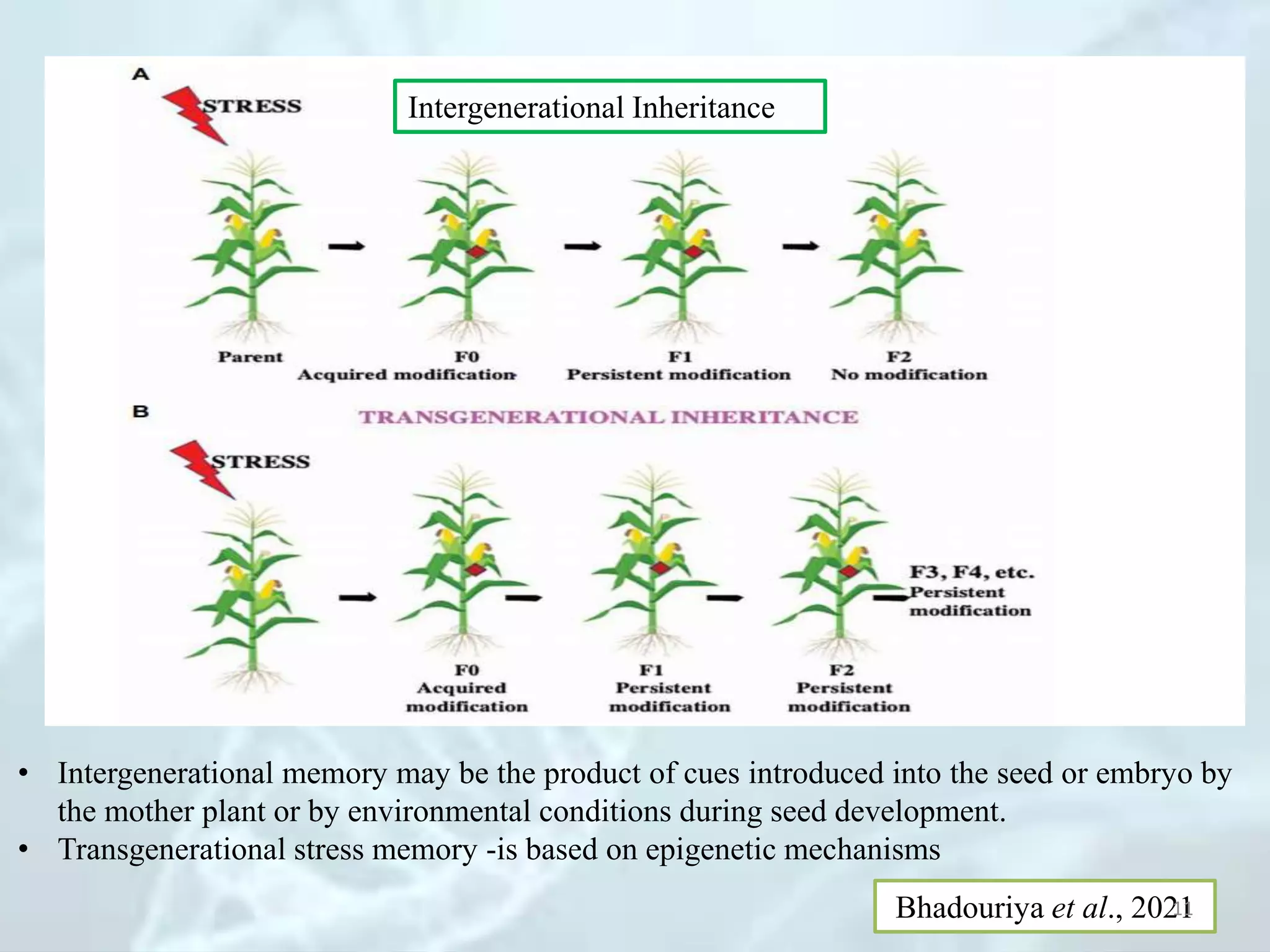 EPIGENETICS PPT.pptx