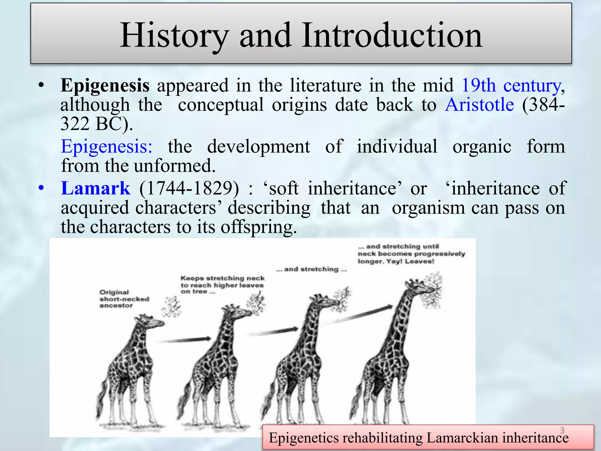 EPIGENETICS PPT.pptx