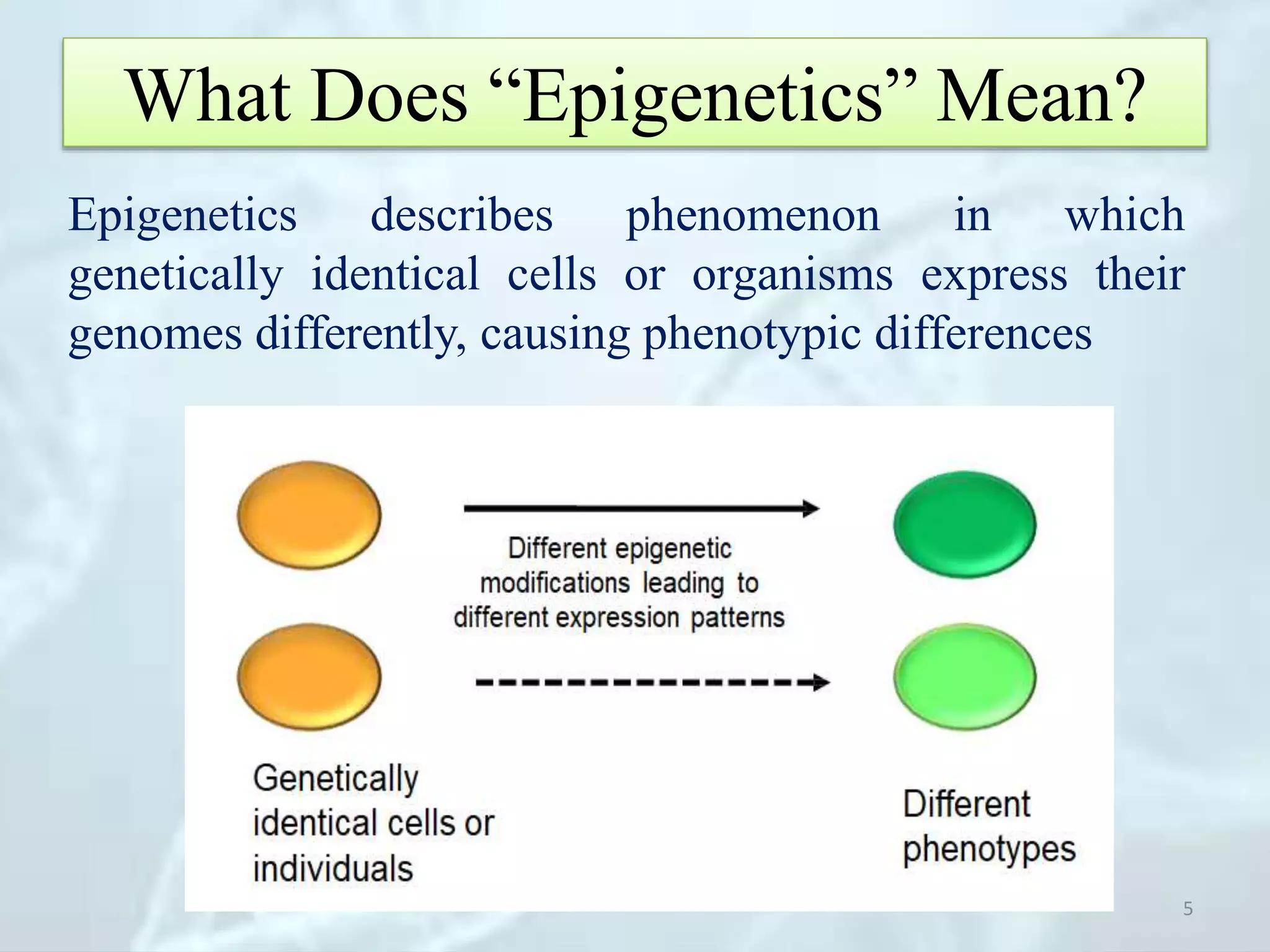 EPIGENETICS PPT.pptx