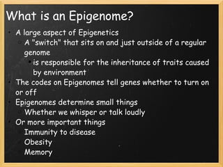 Epigenetics presentation | PPT