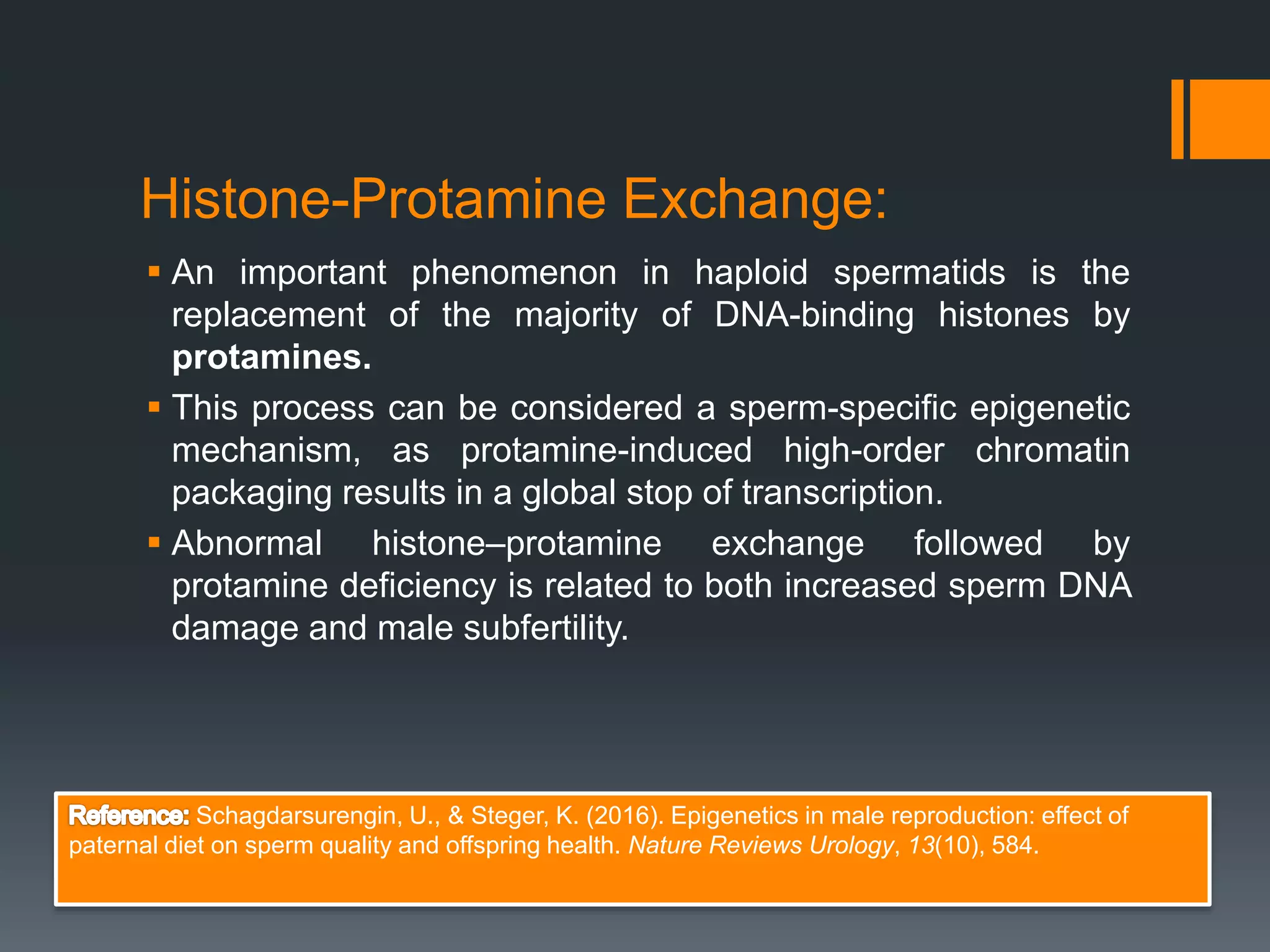 Epigenetics presentation | PPTX