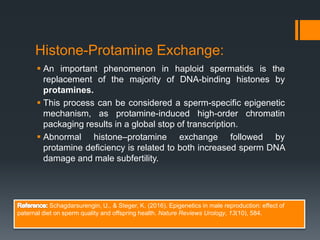 Epigenetics presentation | PPTX