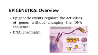 What is Epigenetics? | PPTX