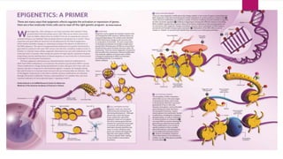 What is Epigenetics? | PPTX