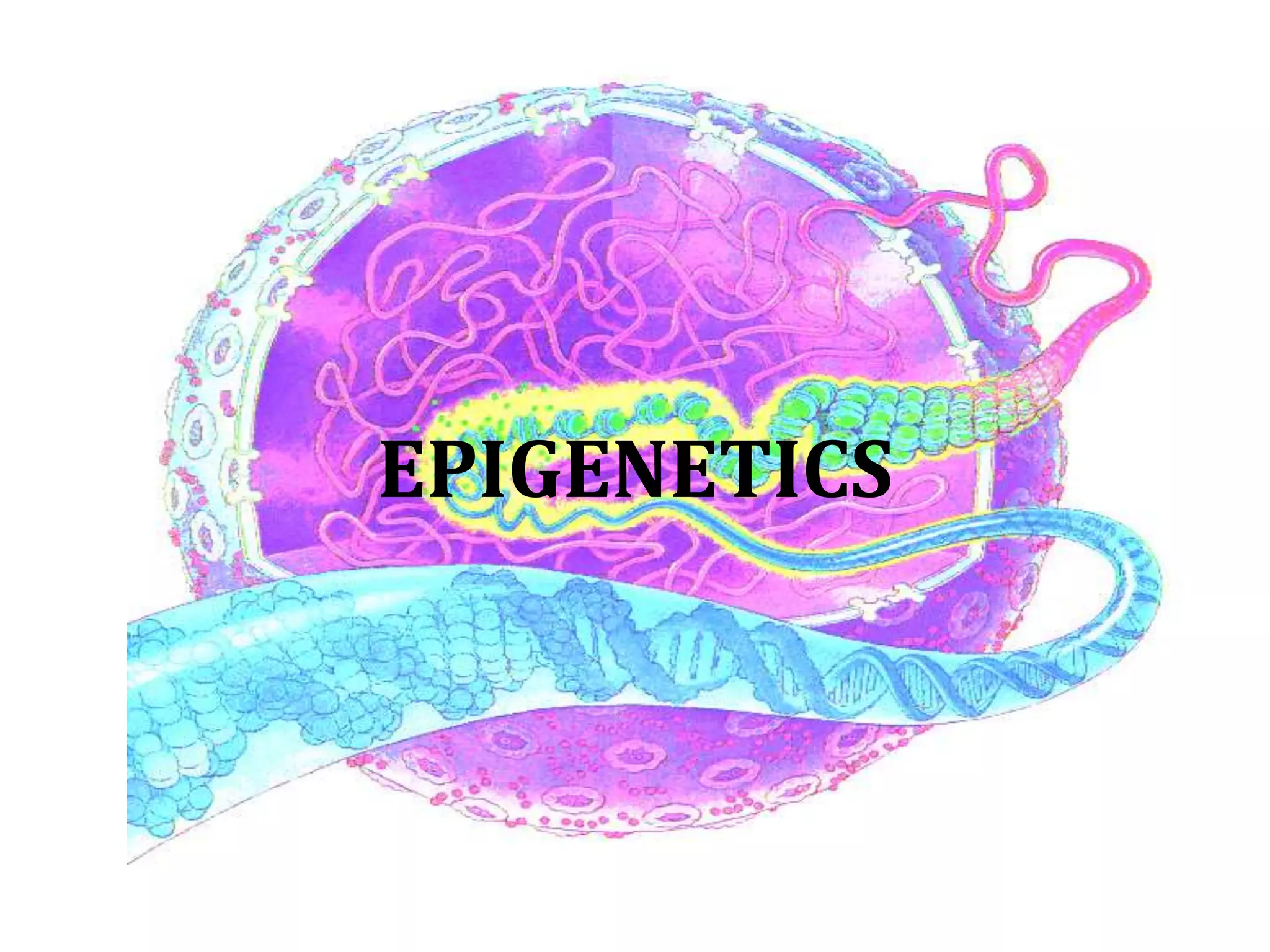 Epigenetics role in diseases | PPTX