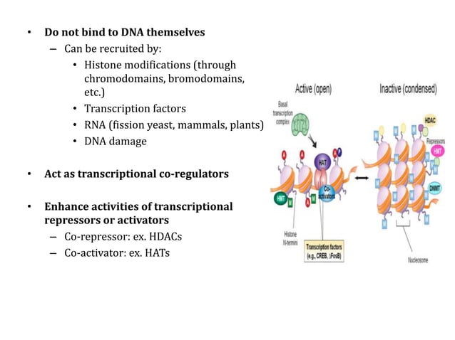 Epigenetics role in diseases | PPTX