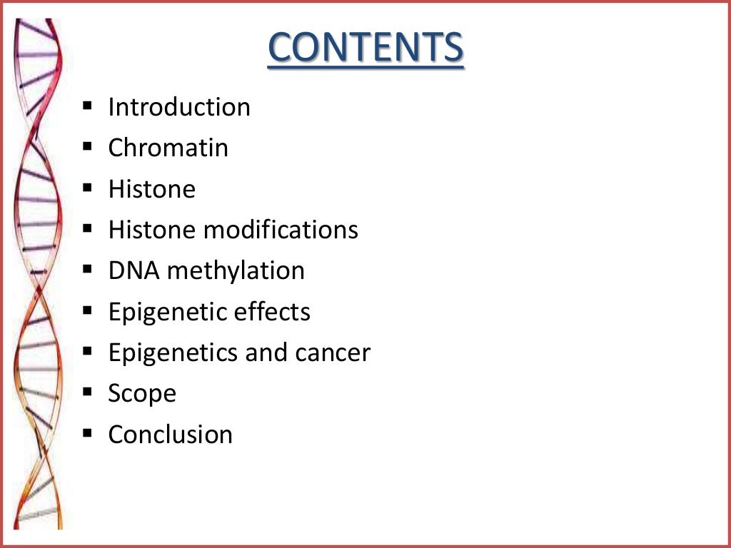 Epigenetics Examples